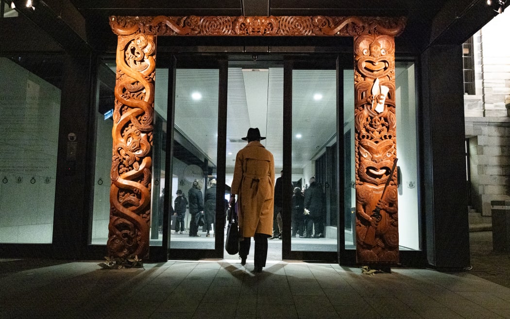 Te Kāhui Mōuri lights up Parliament's face | RNZ