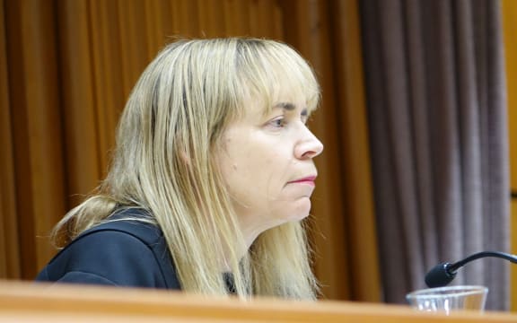 Watson back in court over media access | RNZ News