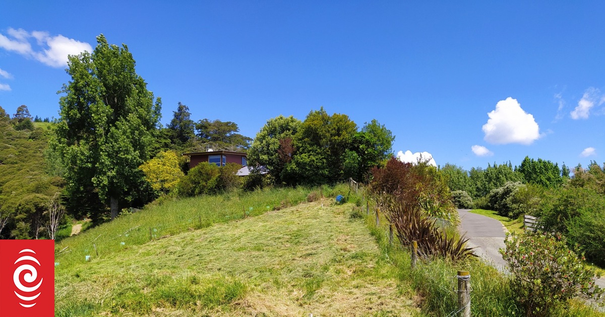 New Zealand's first microforest | RNZ