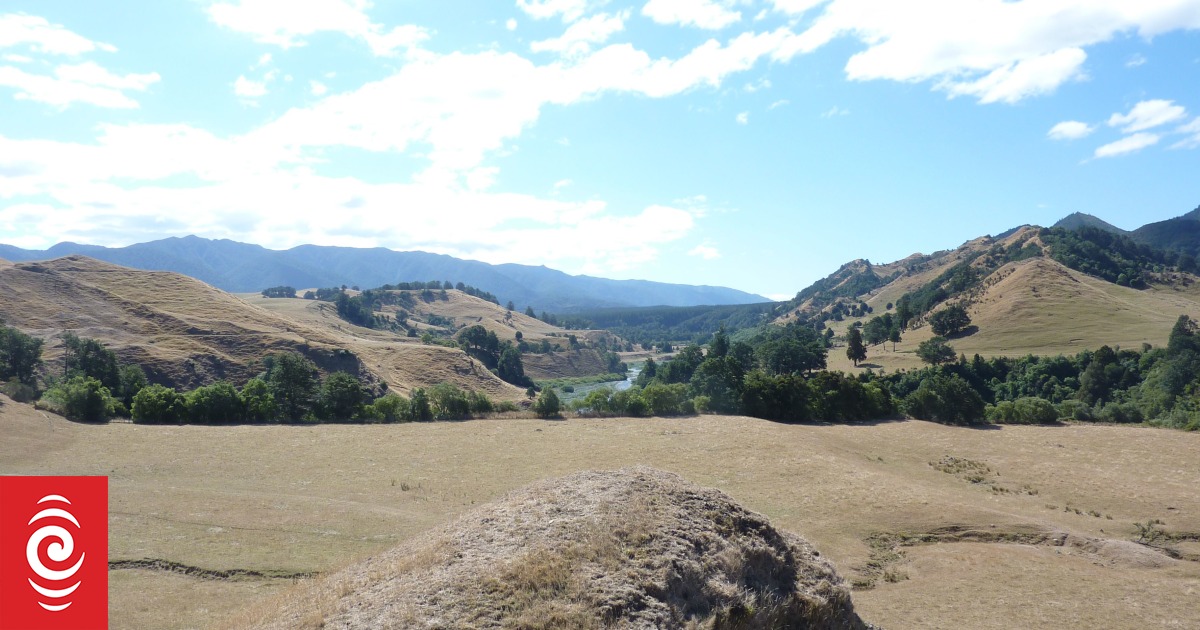 Dam company confident it will go ahead | RNZ News