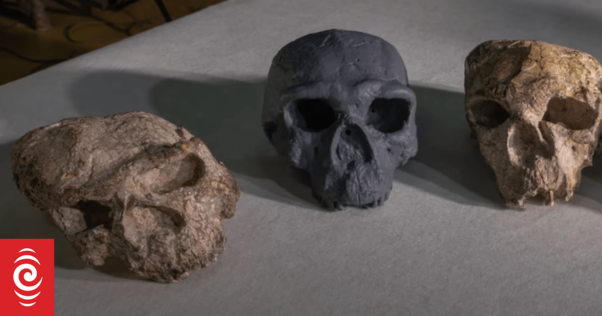 A skull unearthed in China challenges the timeline of human evolution ...