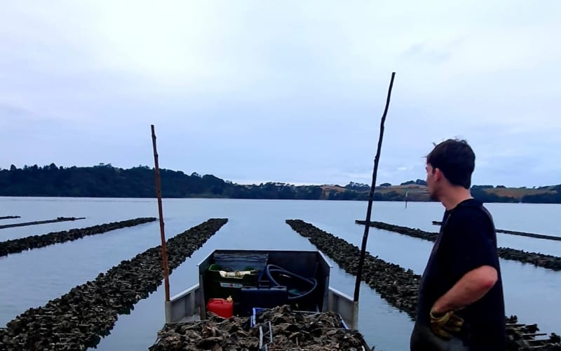 Faulty alarm and surge protection led to Mahurangi River wastewater ...