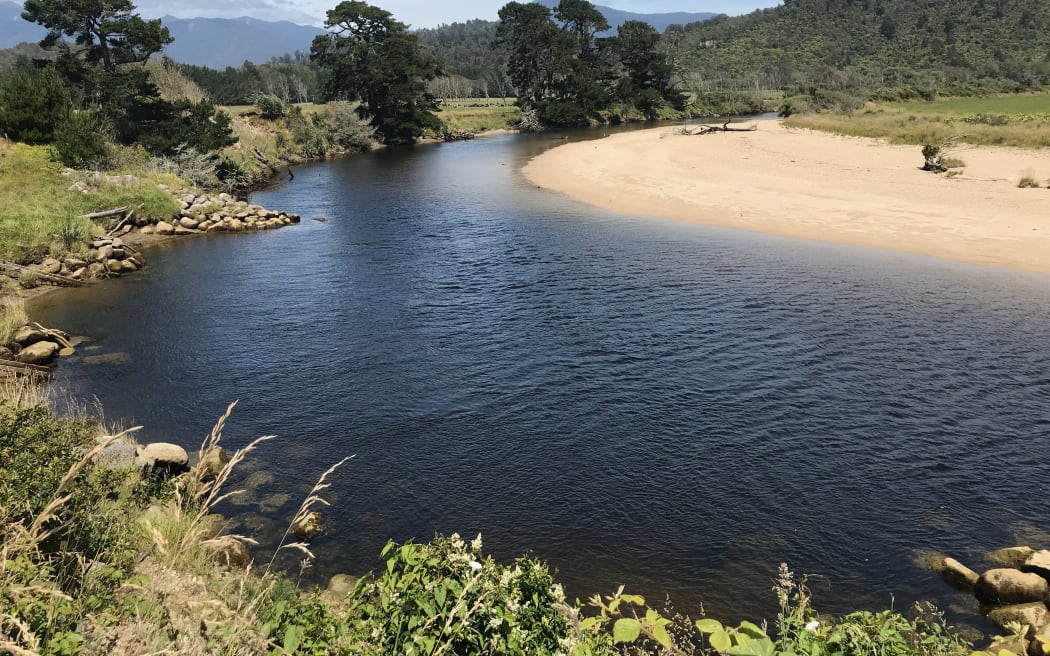 Exact fate of whale fossil taken from West Coast river unknown | RNZ News