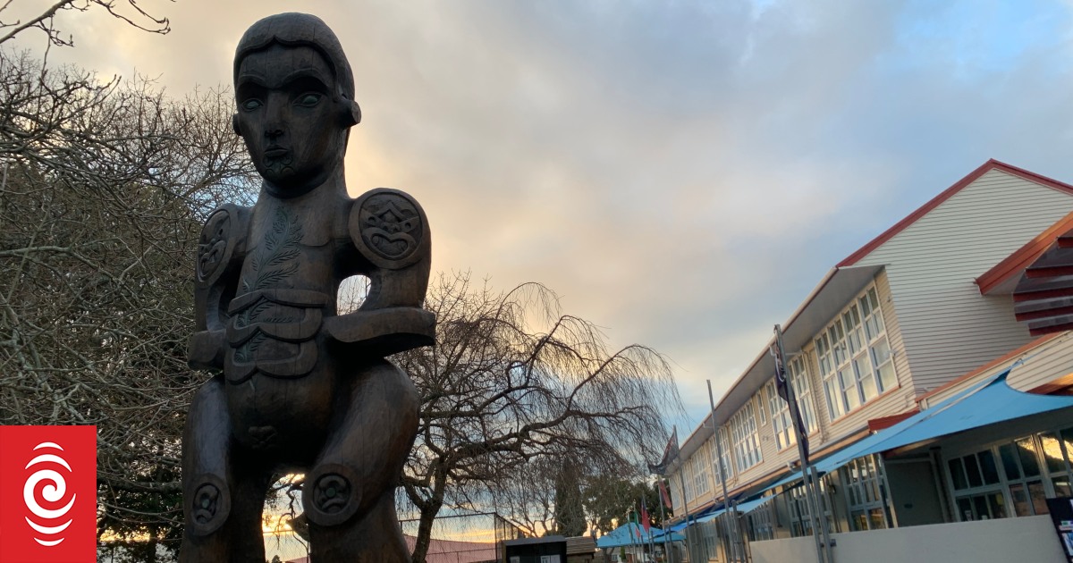 My Tupuna Paraone Koikoi during the conflict in Tauranga Moana | RNZ