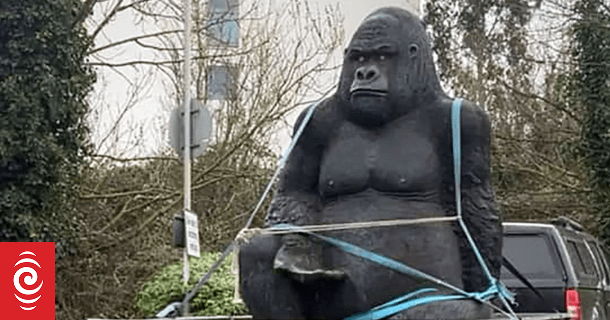 Giant gorilla statue sightings were 'not Gary' | RNZ News