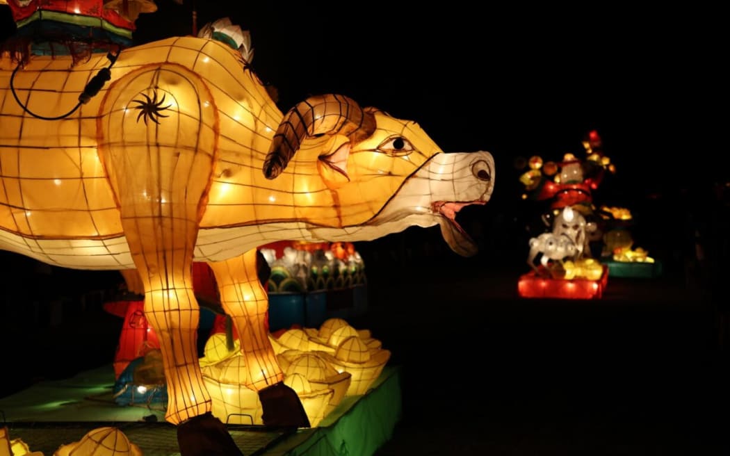 Auckland Lantern Festival returns with dazzling light displays | RNZ News