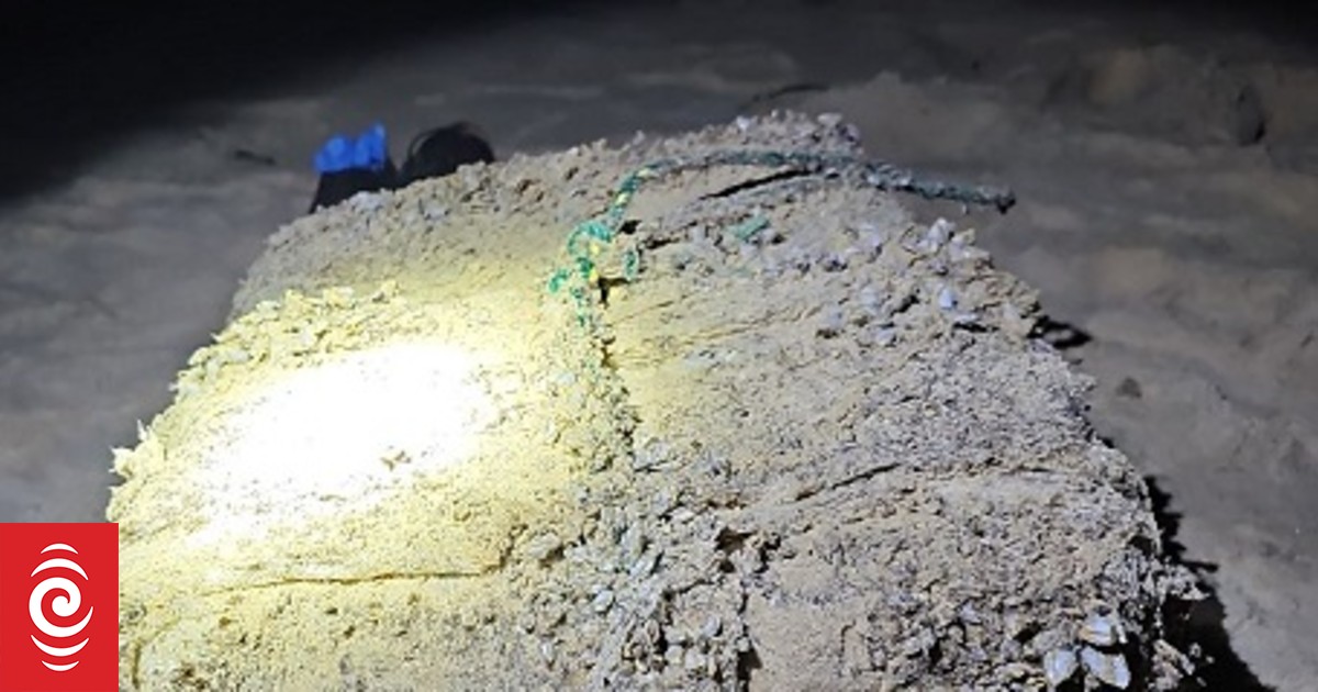 Police warn people searching beaches for cocaine after two people ...