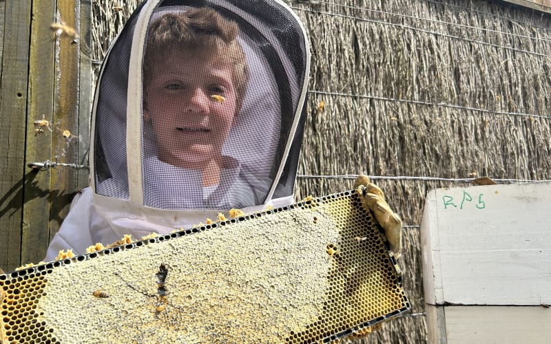 Meet Auckland's 11-year-old beekeeper keeping the community sweet | RNZ