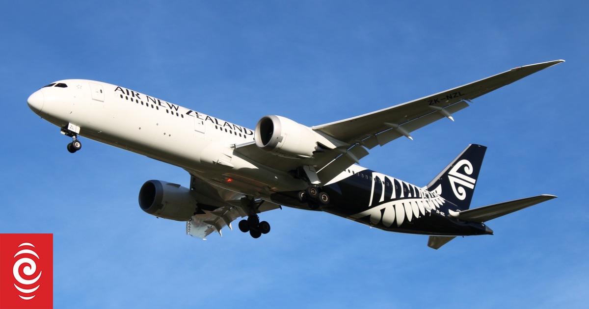 Air NZ announces new aircraft, retrofits and bunk bed flights | RNZ News