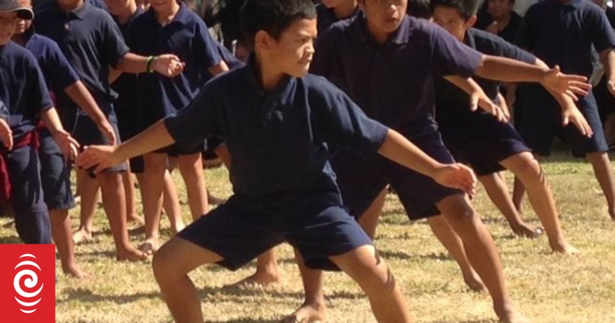 Droves turn out for Pakaitore day | RNZ News