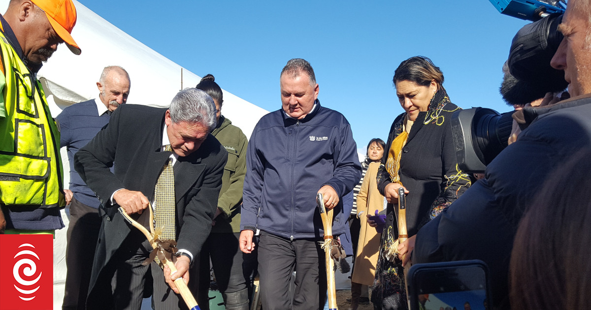 Trees ordered before Ngāti Hine deal struck in Crown-iwi venture ...