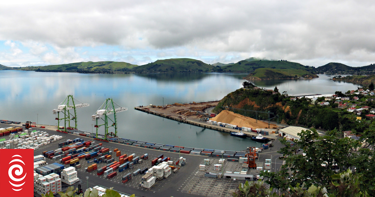 Police identify remains of man found on Dunedin coastline | RNZ News