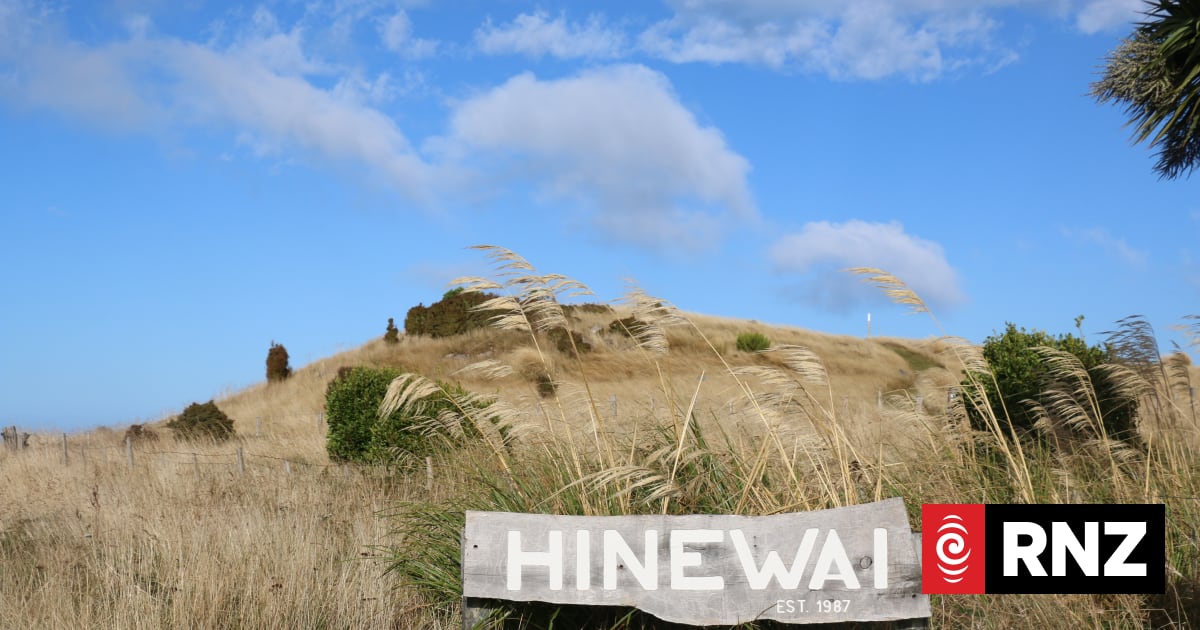 "Nature's itching to put the bush back" | RNZ
