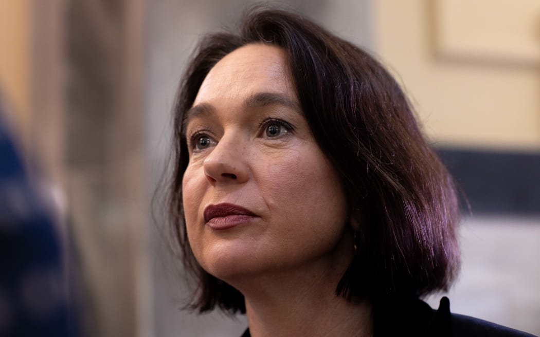 Labour MP Ginny Andersen questions Christopher Luxon's leadership ...