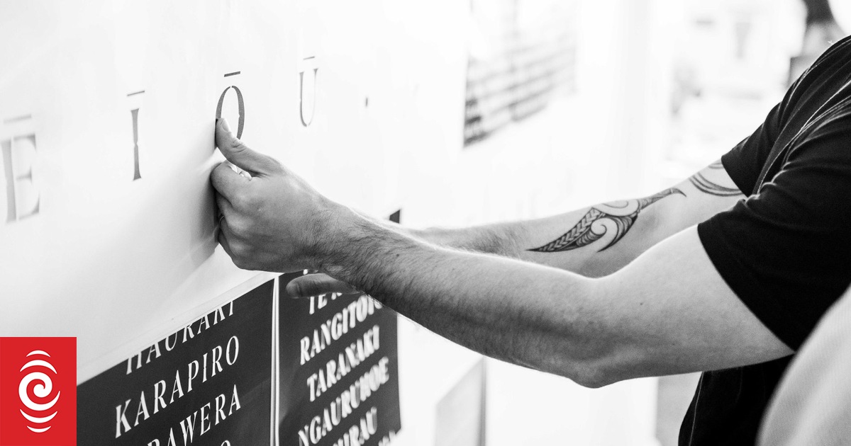 New website which helps piece together iwi connections takes off | RNZ News