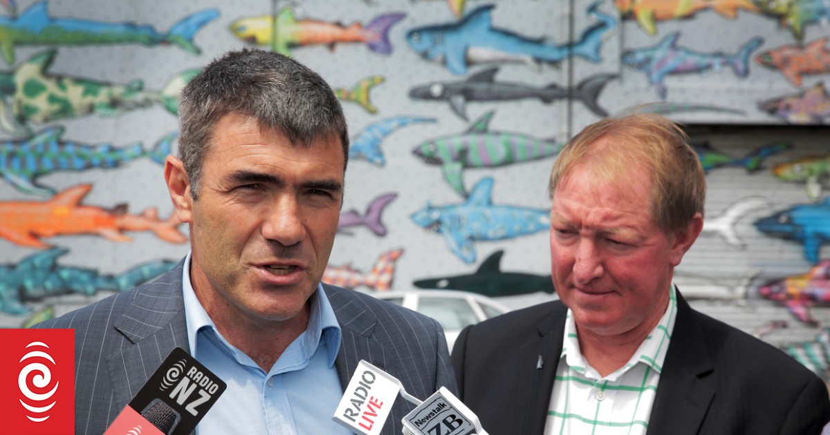 Shark finning ban to start this year | RNZ News