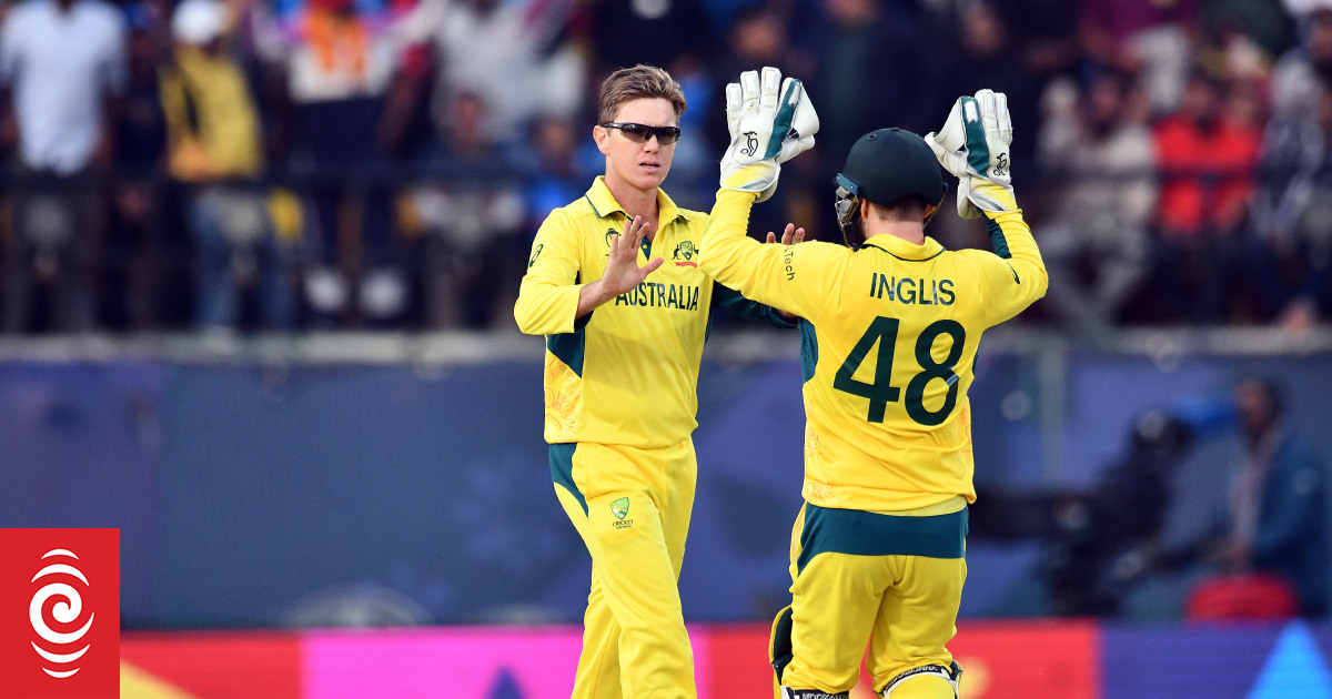 Australia secure Cricket World Cup final spot | RNZ News