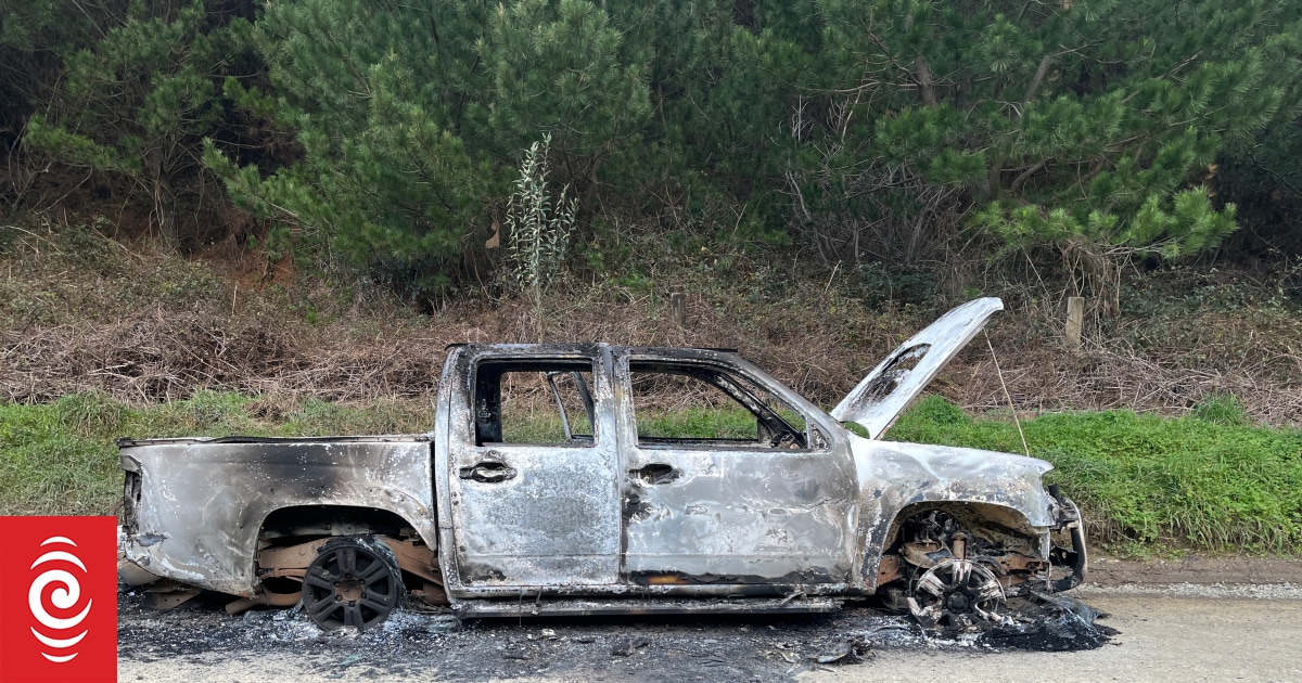 Ōpōtiki Mongrel Mob Barbarians president Steven Taiatini hit by ute ...