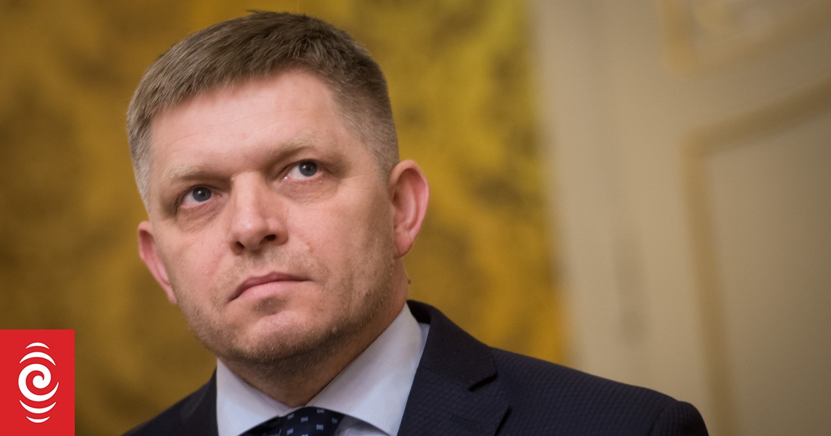 Slovakia PM resigns after protests over 'contract killing' | RNZ News