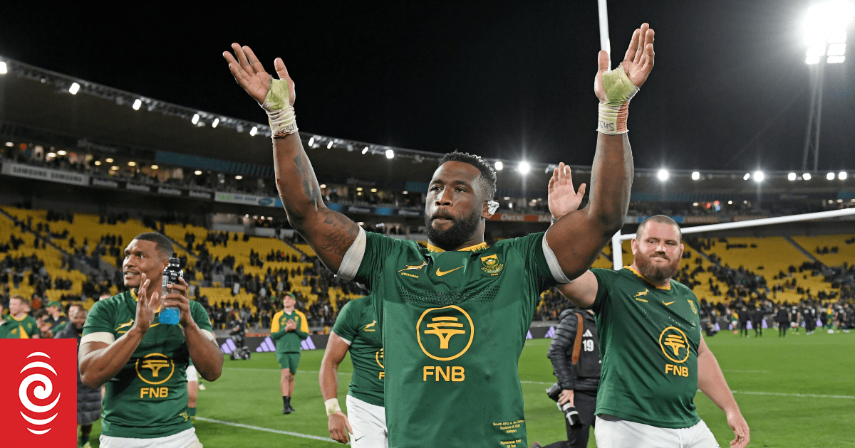 Springboks close in on Rugby Championship title defence | RNZ News