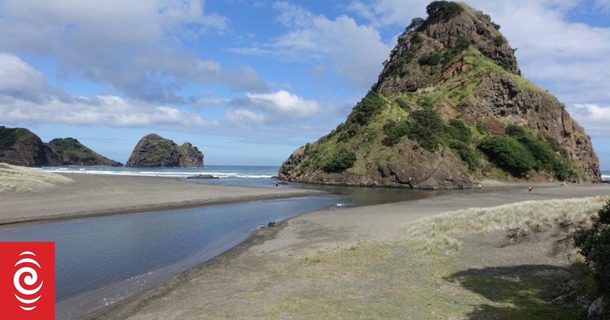 Person missing in water at Piha Beach | RNZ News