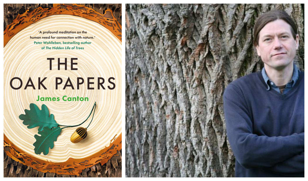 Two years with an ancient oak tree | RNZ