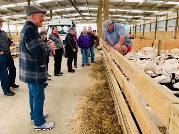 Oete Goat Farm | A Gallery from Nine To Noon | RNZ National