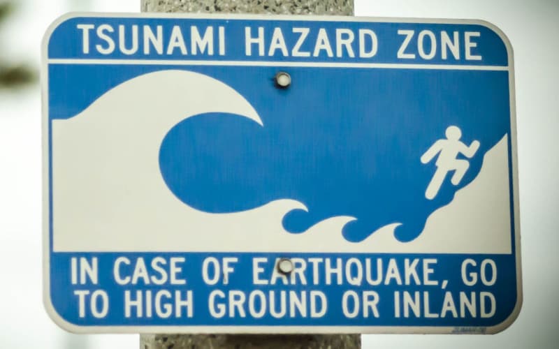 Coromandel could be hit by huge tsunami - scientist | RNZ