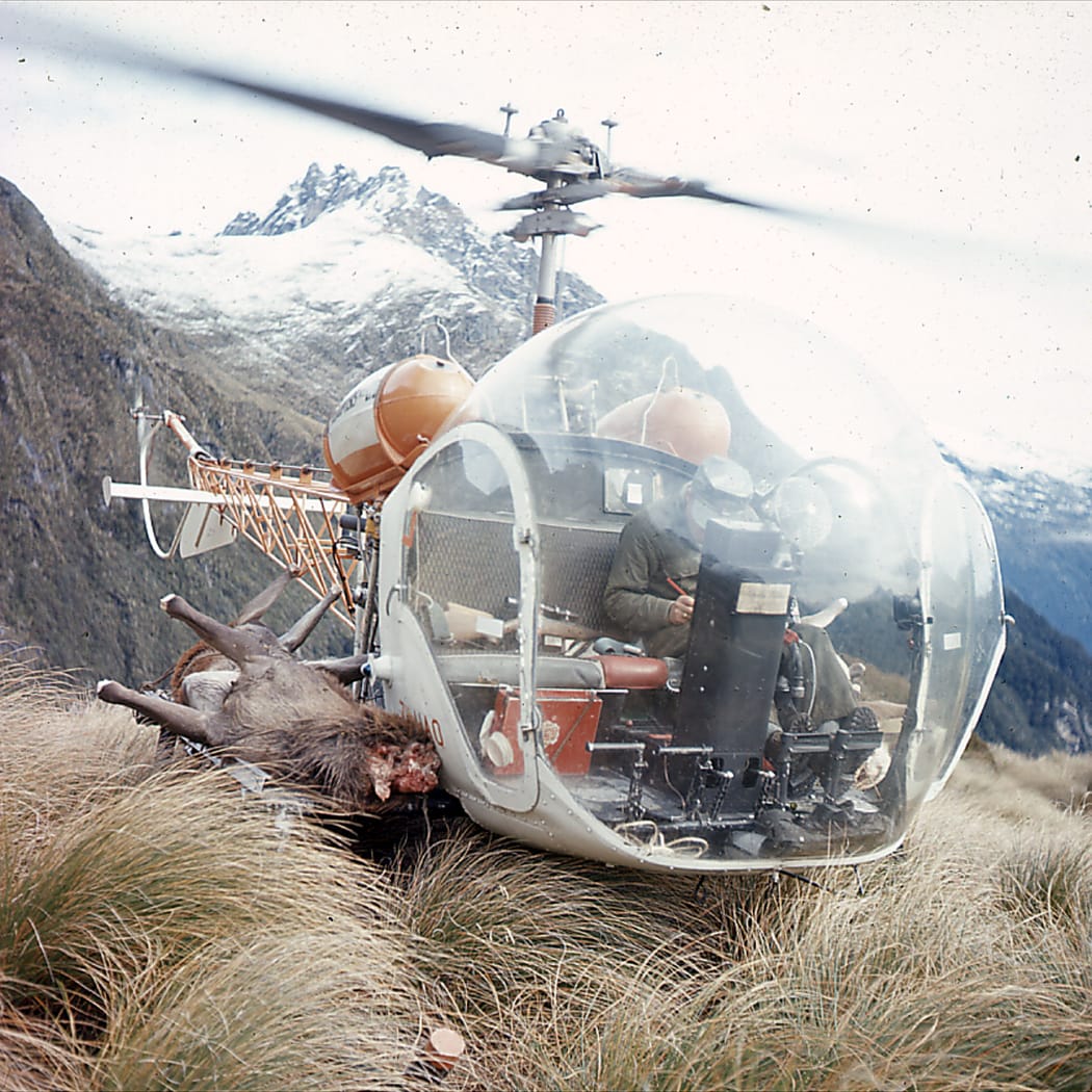 E06: Deer Devils | RNZ