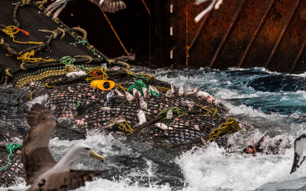 Minister defends bottom trawling, despite poll showing majority of ...