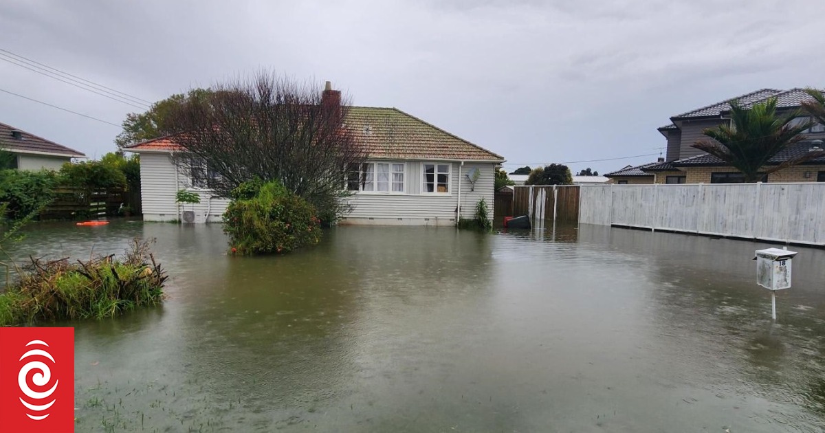 The Panel with Cindy Mitchener and Peter Field (Part 1) | RNZ