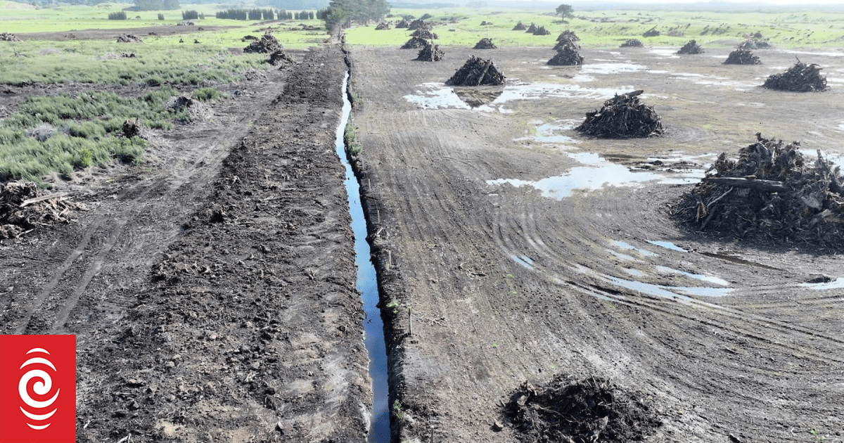 Northland man's wetland destruction leads to court order for ...
