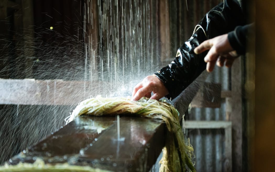 Harnessing harakeke - a new future for a traditional taonga | RNZ News