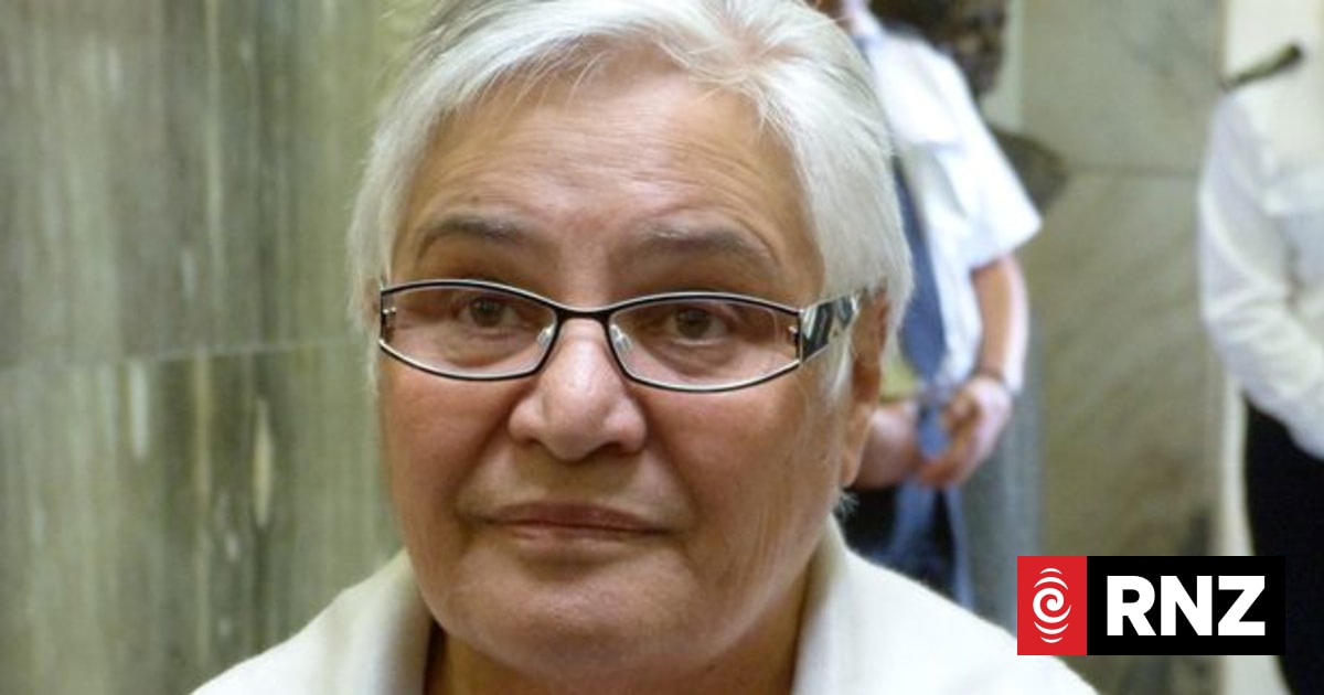 New Maori housing strategy launched | RNZ