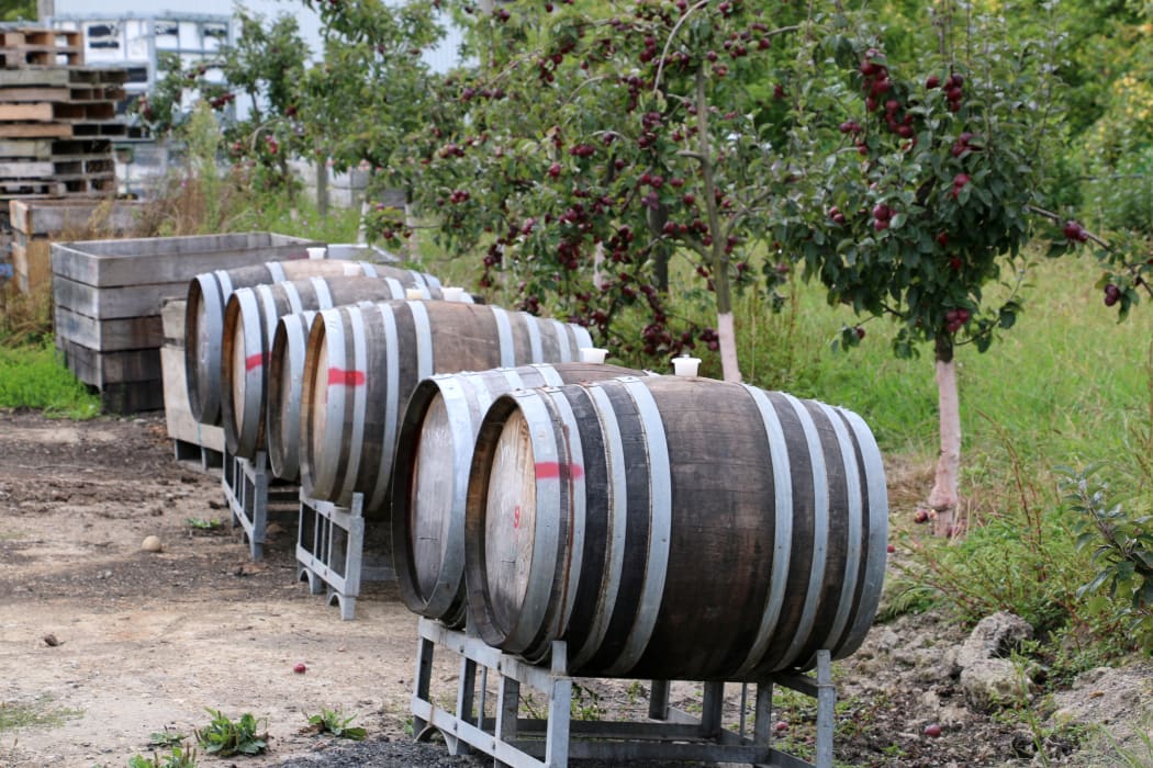 Always look on the bright cider life | RNZ