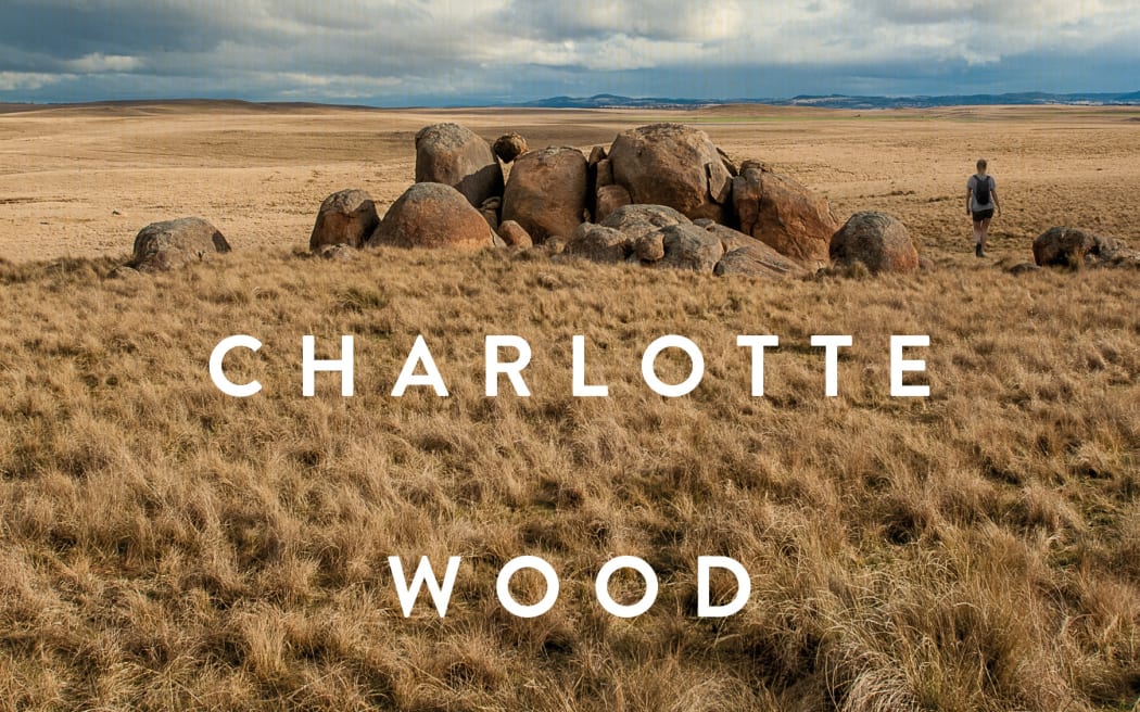 Book Review Stone Yard Devotional By Charlotte Wood Rnz