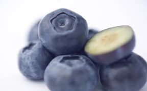 Australian farm grows world's biggest blueberry | RNZ News