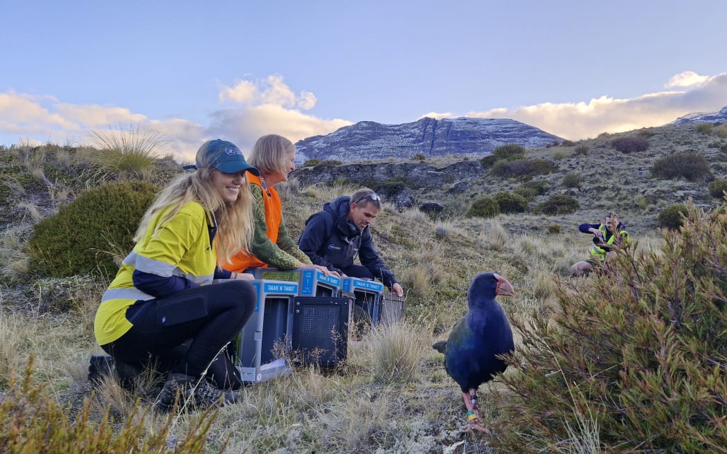 Environment | RNZ News