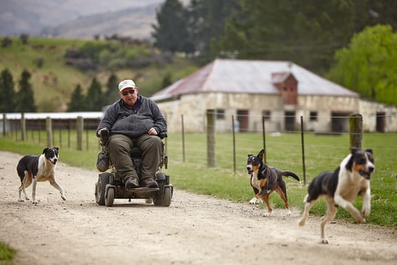 David Darcy | A Gallery from Nine To Noon | RNZ National