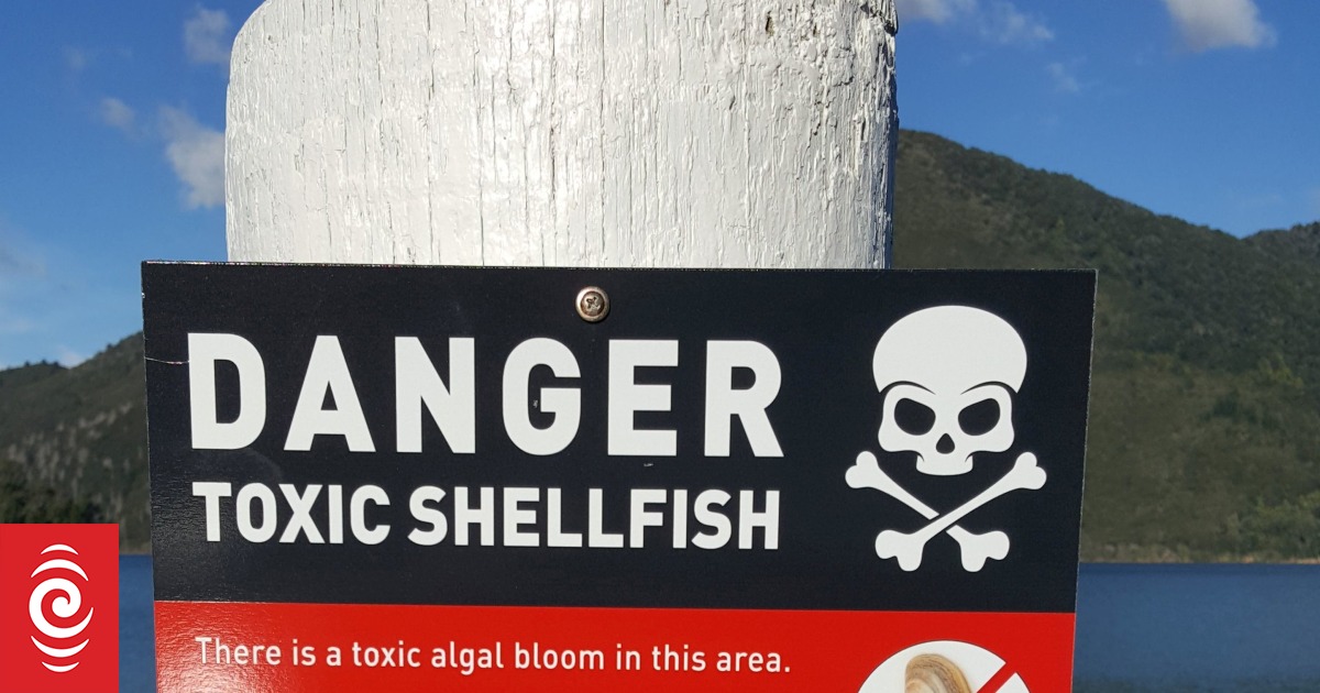 Toxic shellfish warning for Coromandel, Bay of Plenty | RNZ News