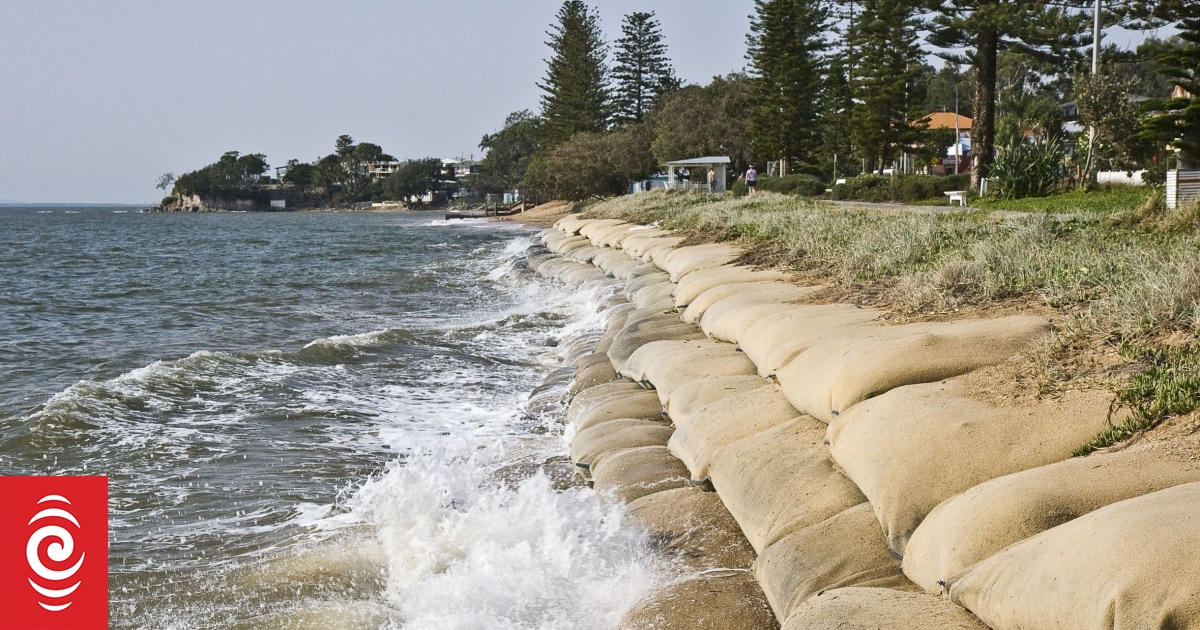 How will declaring a climate change emergency help us? | RNZ News