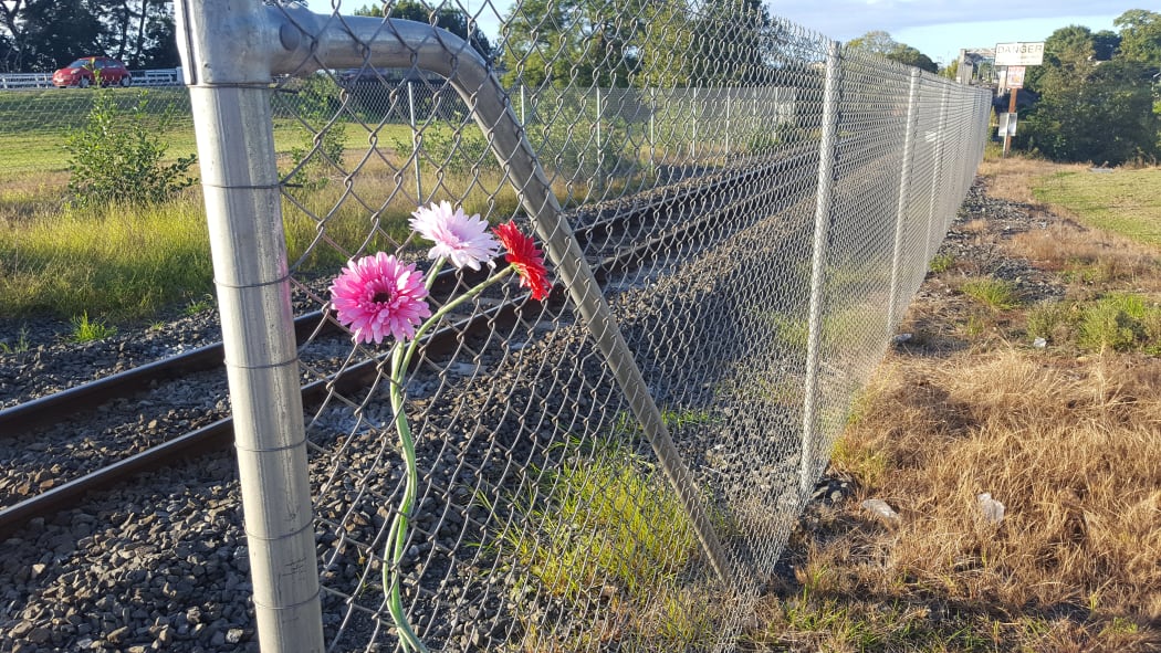 Ngāruawāhia rail bridge dangers: 'You won't ever stop it' | RNZ News