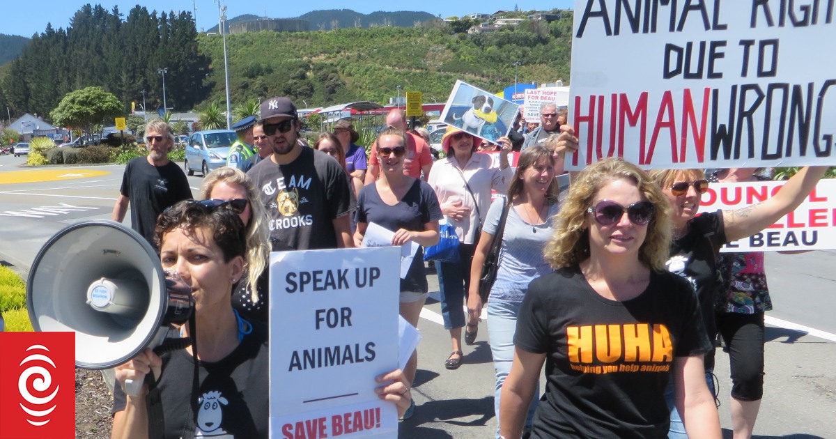 Protest fails to save doomed dog | RNZ News