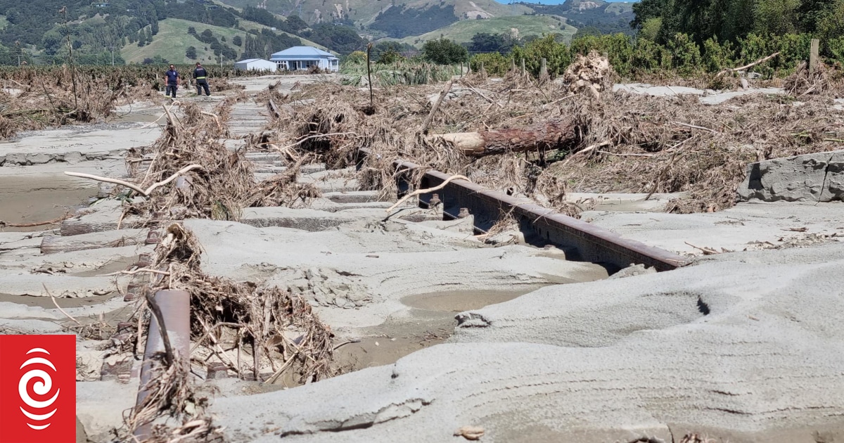 Silt: an explainer | RNZ