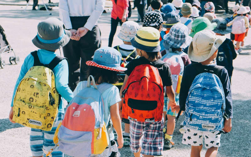 School curriculum rewrite had serious problems, managers considered ...