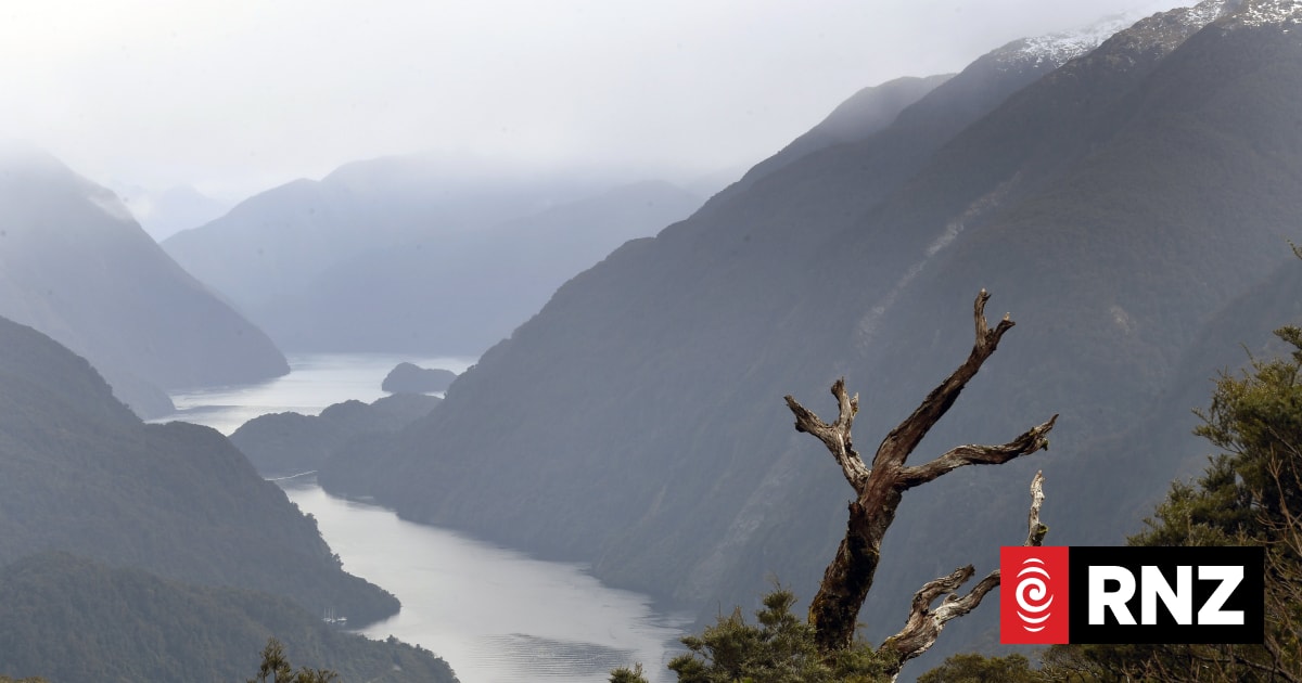 Mayday call made after tourist cruise ship runs aground in Fiordland | RNZ