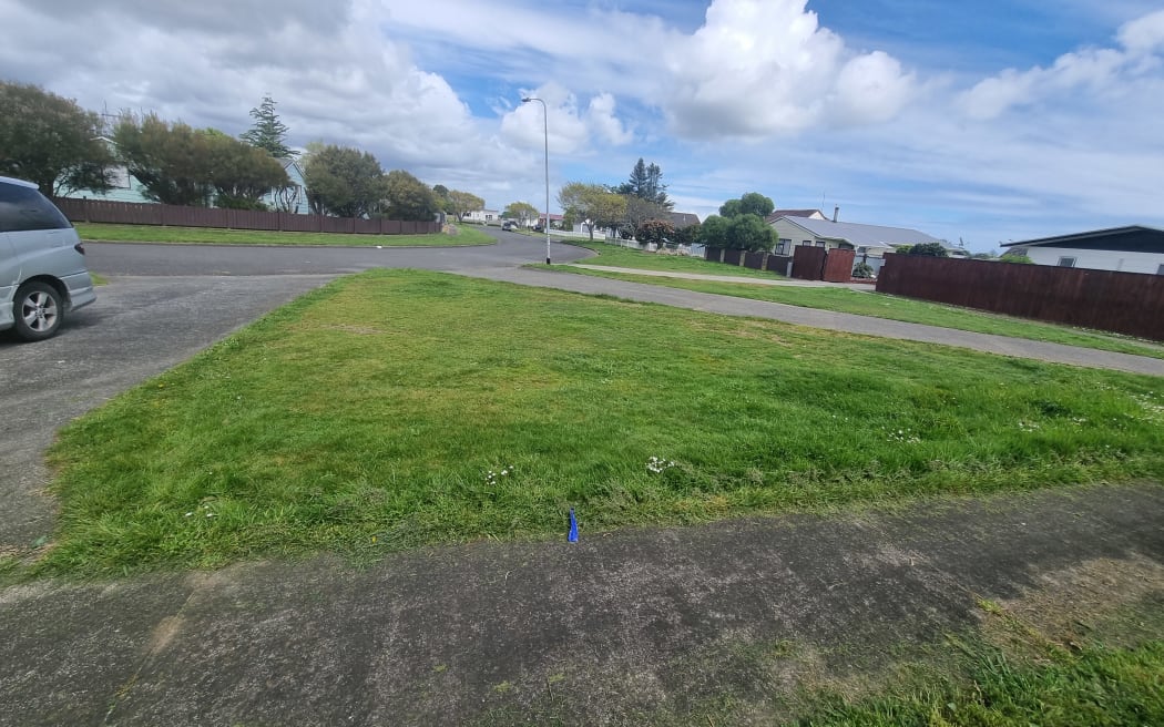He's got the 'biggest berm in town' and he won't mow it | RNZ News