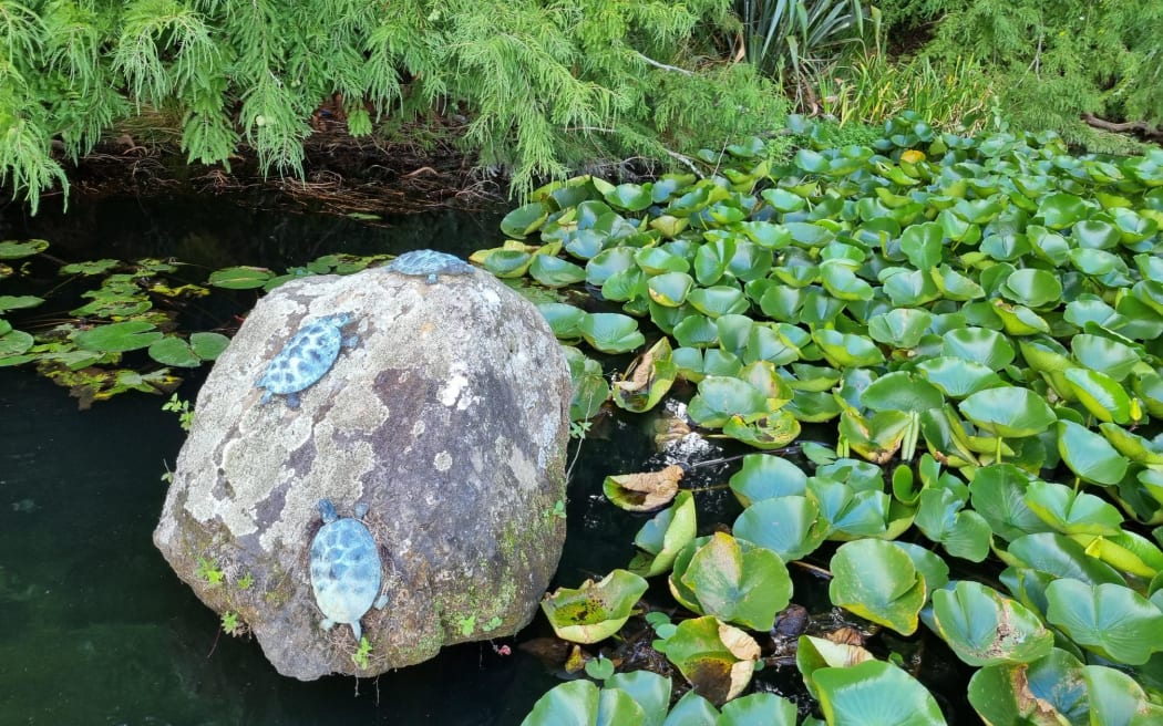 Abandoned pet turtles 'far more widespread than initially thought ...