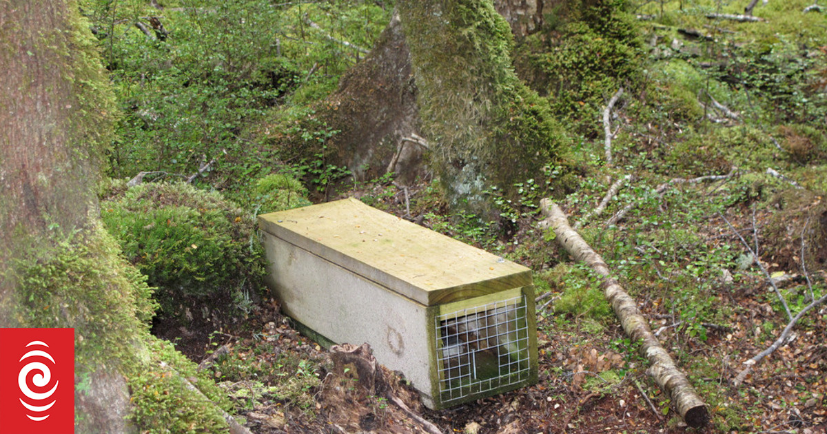 Pest and predator control on hold | RNZ