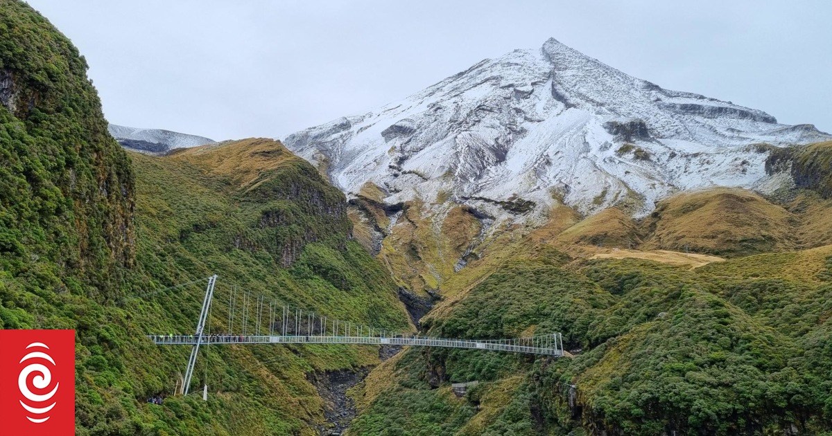 Striking new suspension bridge opens on Taranaki Maunga | RNZ News